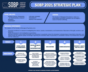 Statement of Purpose (Vision and Mission Statement) | Society of ...